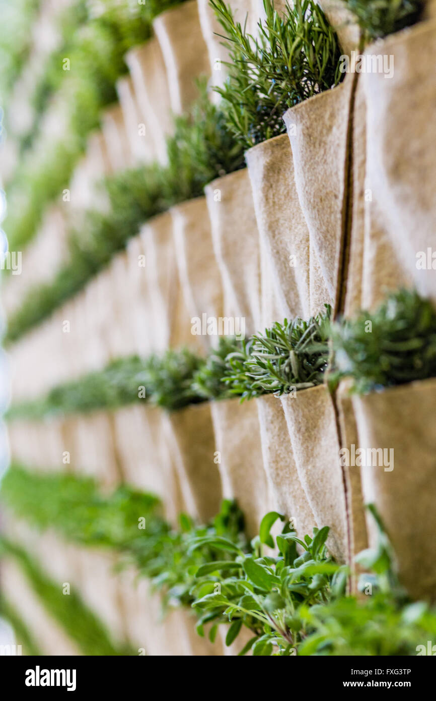 Nature pockets hi-res stock photography and images - Alamy