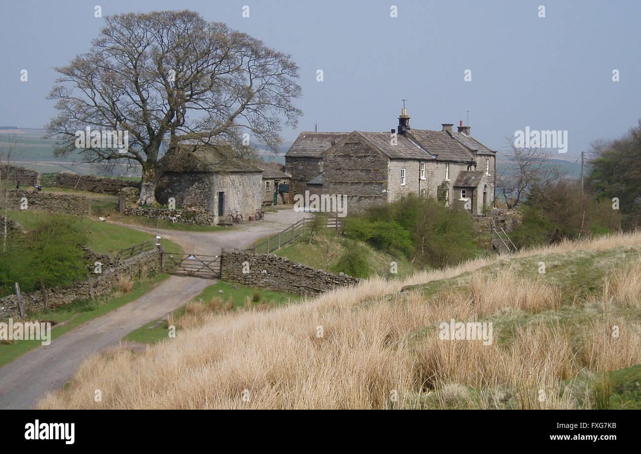 Birk Hat Farm Stock Photo - Alamy