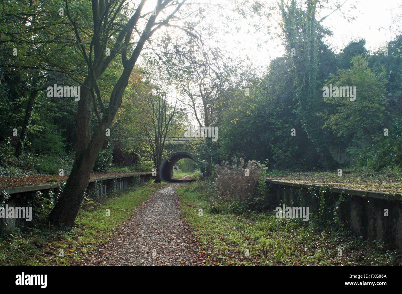 West Grinstead Station Stock Photo - Alamy