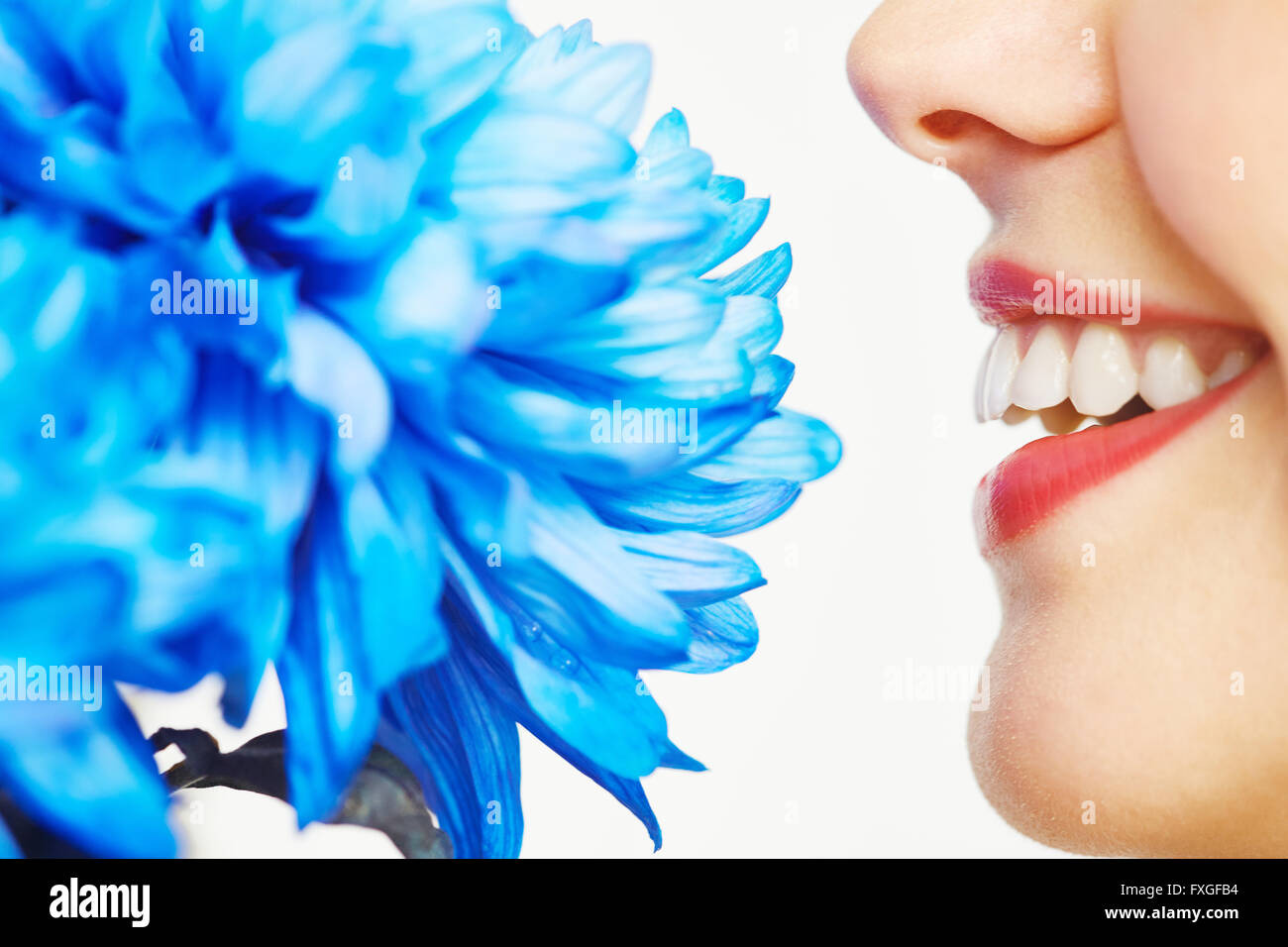 Smell of spring Stock Photo - Alamy