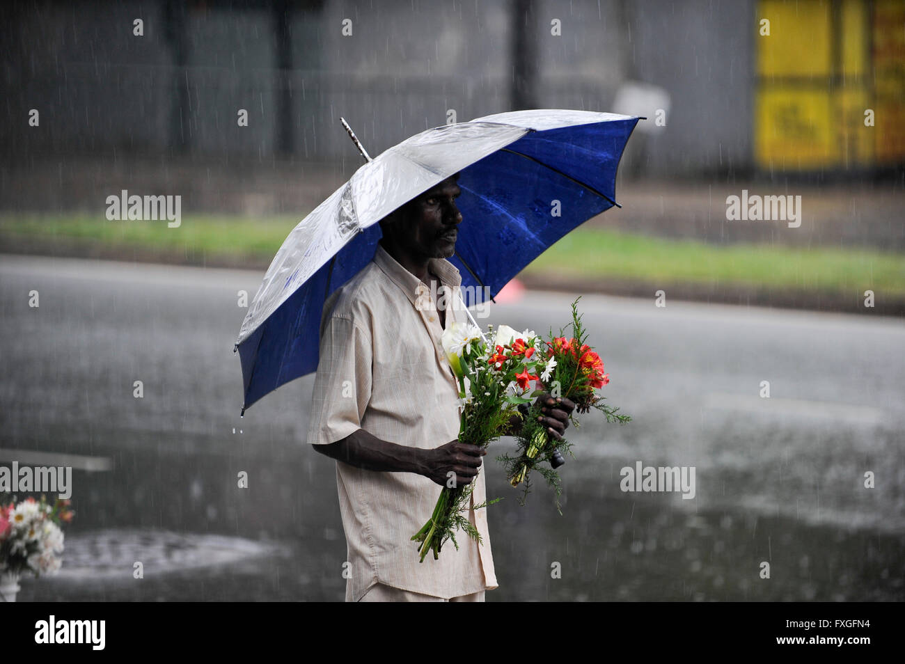 Monsoon rain sri lanka hi-res stock photography and images - Alamy