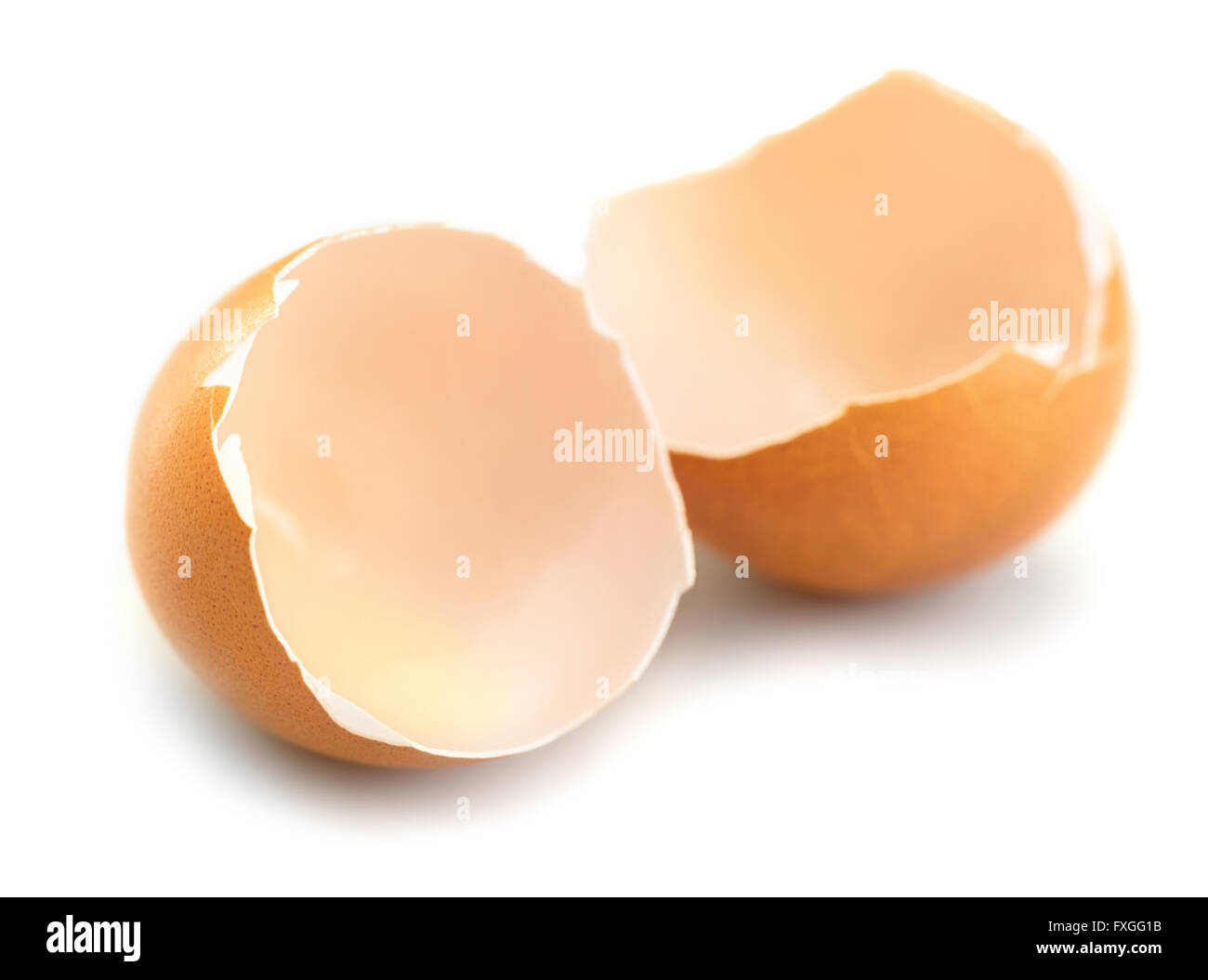 egg shell closeup isolated on white background Stock Photo - Alamy