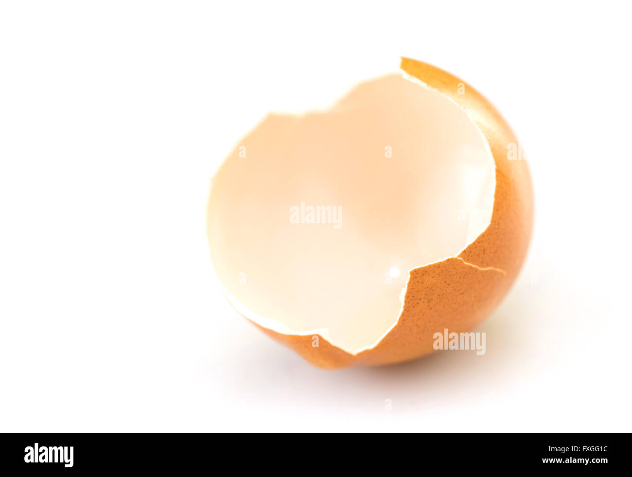 egg shell closeup isolated on white background Stock Photo - Alamy