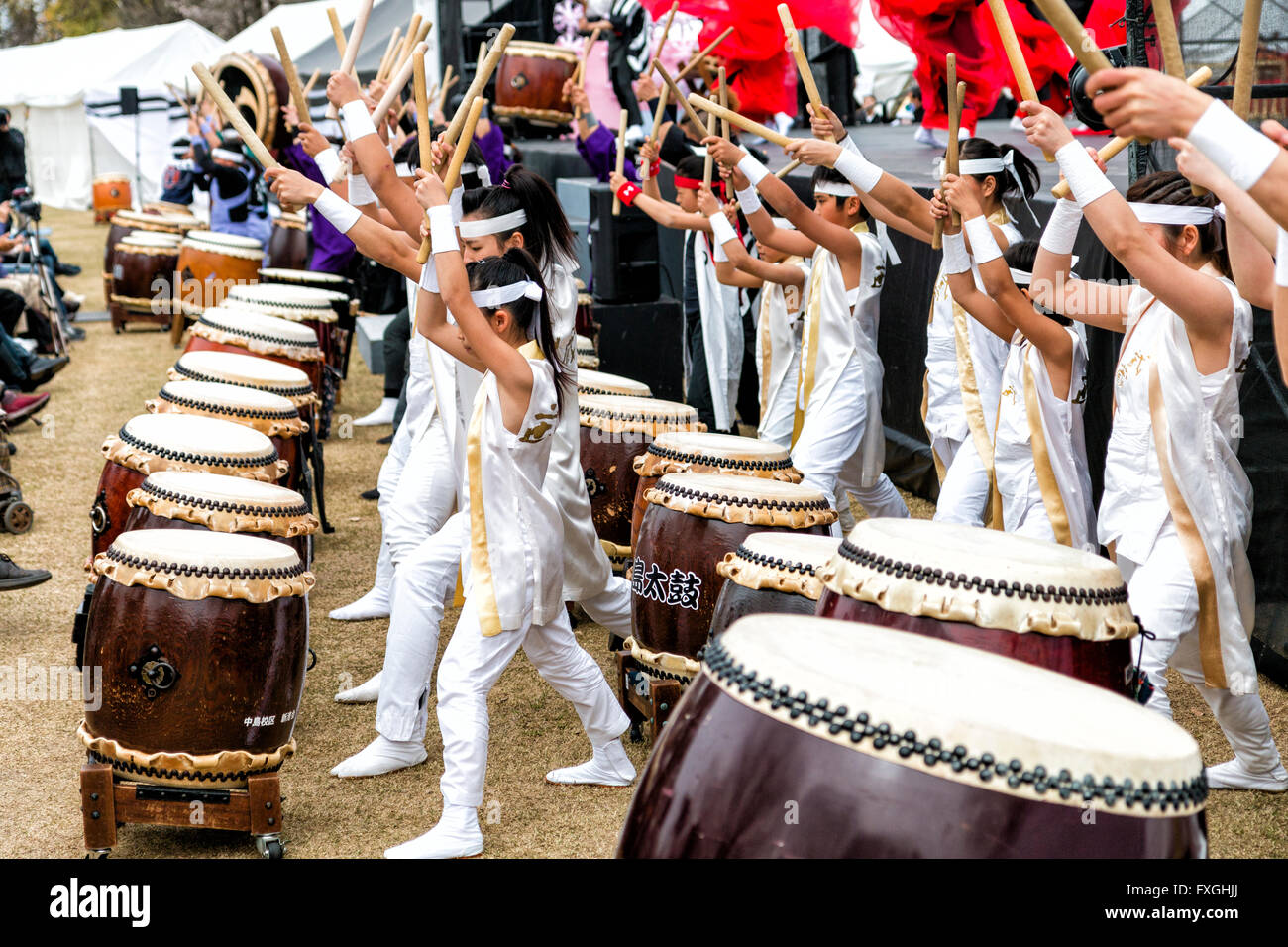 View along two rows of Taiko Drummers, during a kumi-daiko show ...
