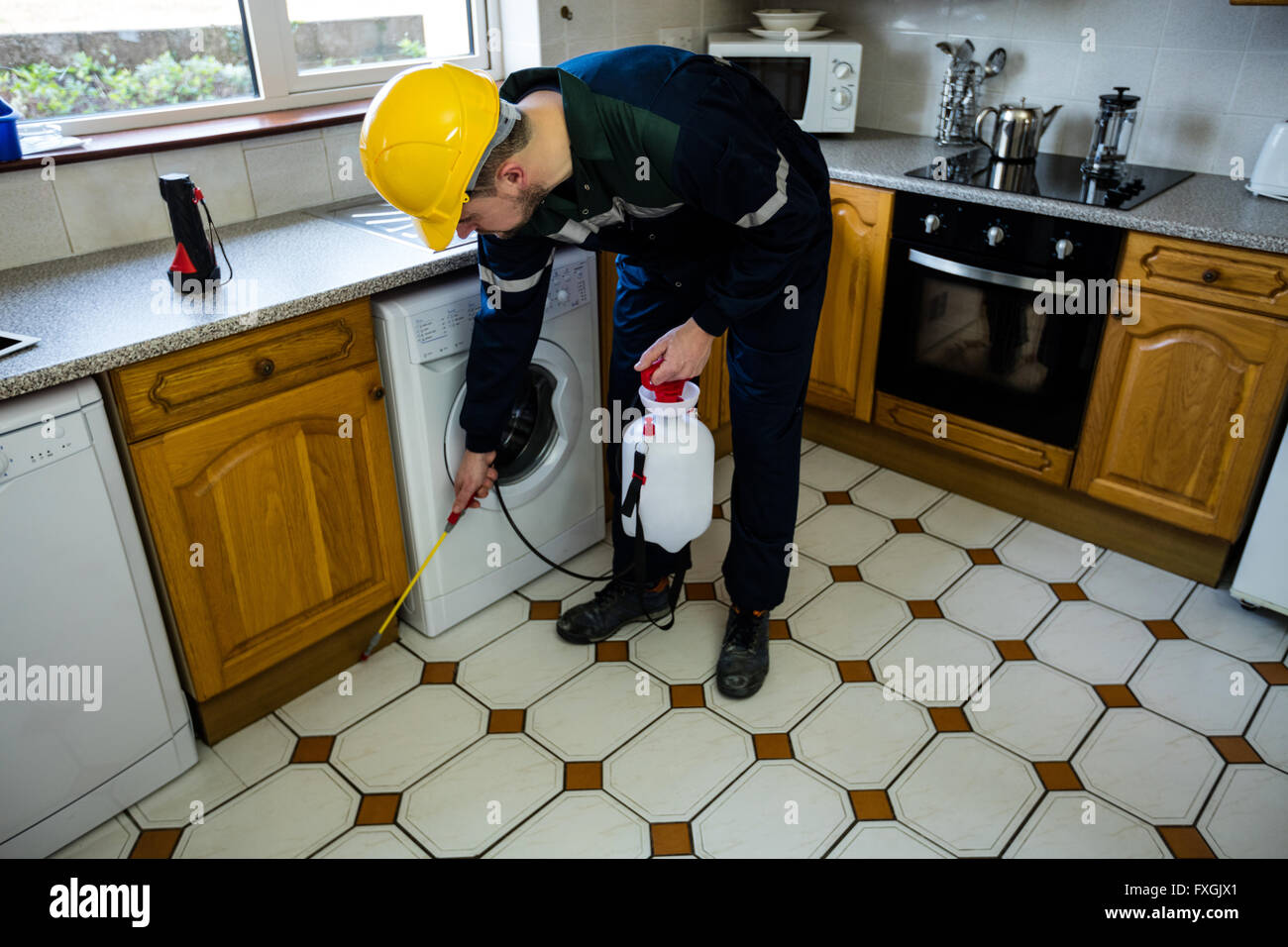Pest control man spraying pesticide Stock Photo - Alamy