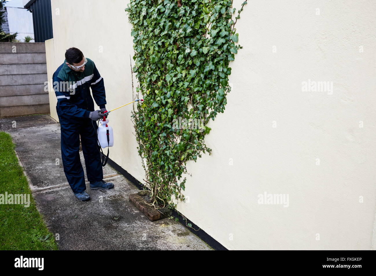 Pest control man spraying pesticide in trees outside house Stock Photo ...