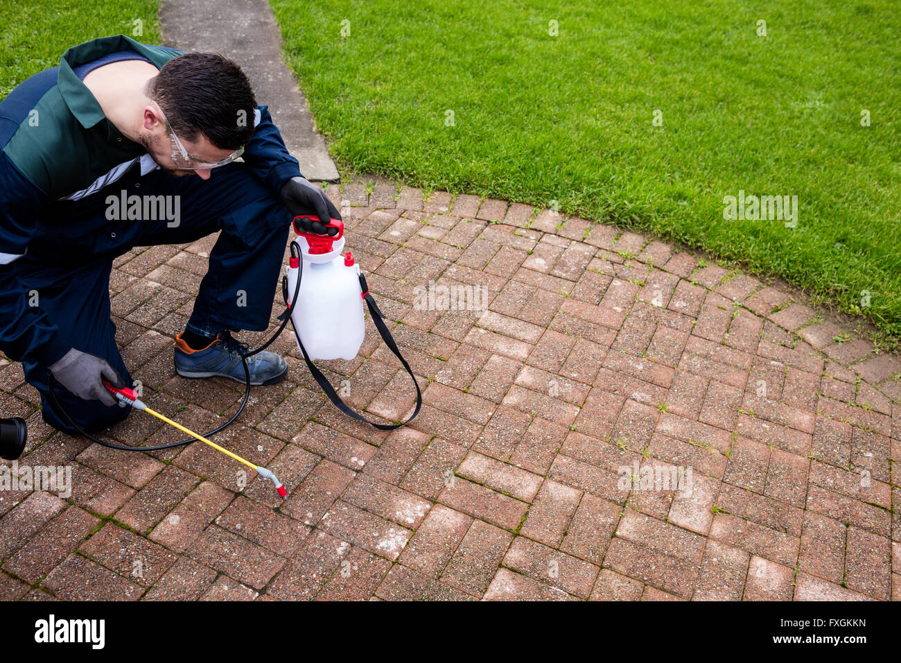Pest control man spraying pesticide in garden Stock Photo - Alamy