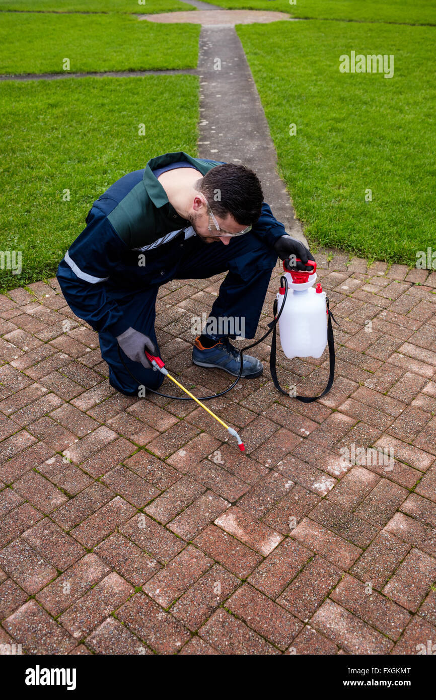 Pest spray garden diy hi-res stock photography and images - Alamy