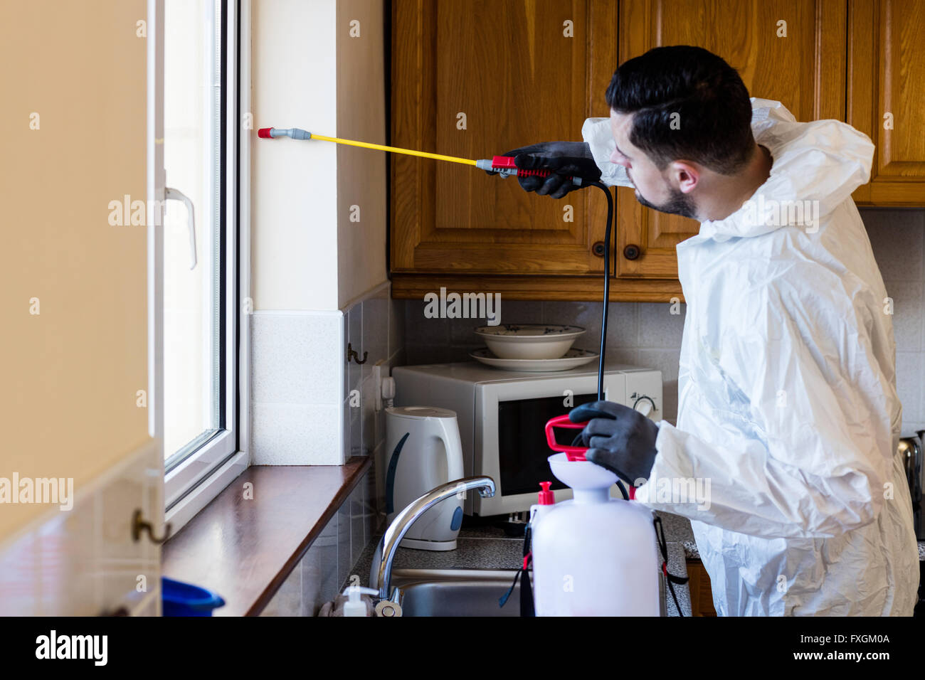 Pest control man spraying pesticide Stock Photo - Alamy