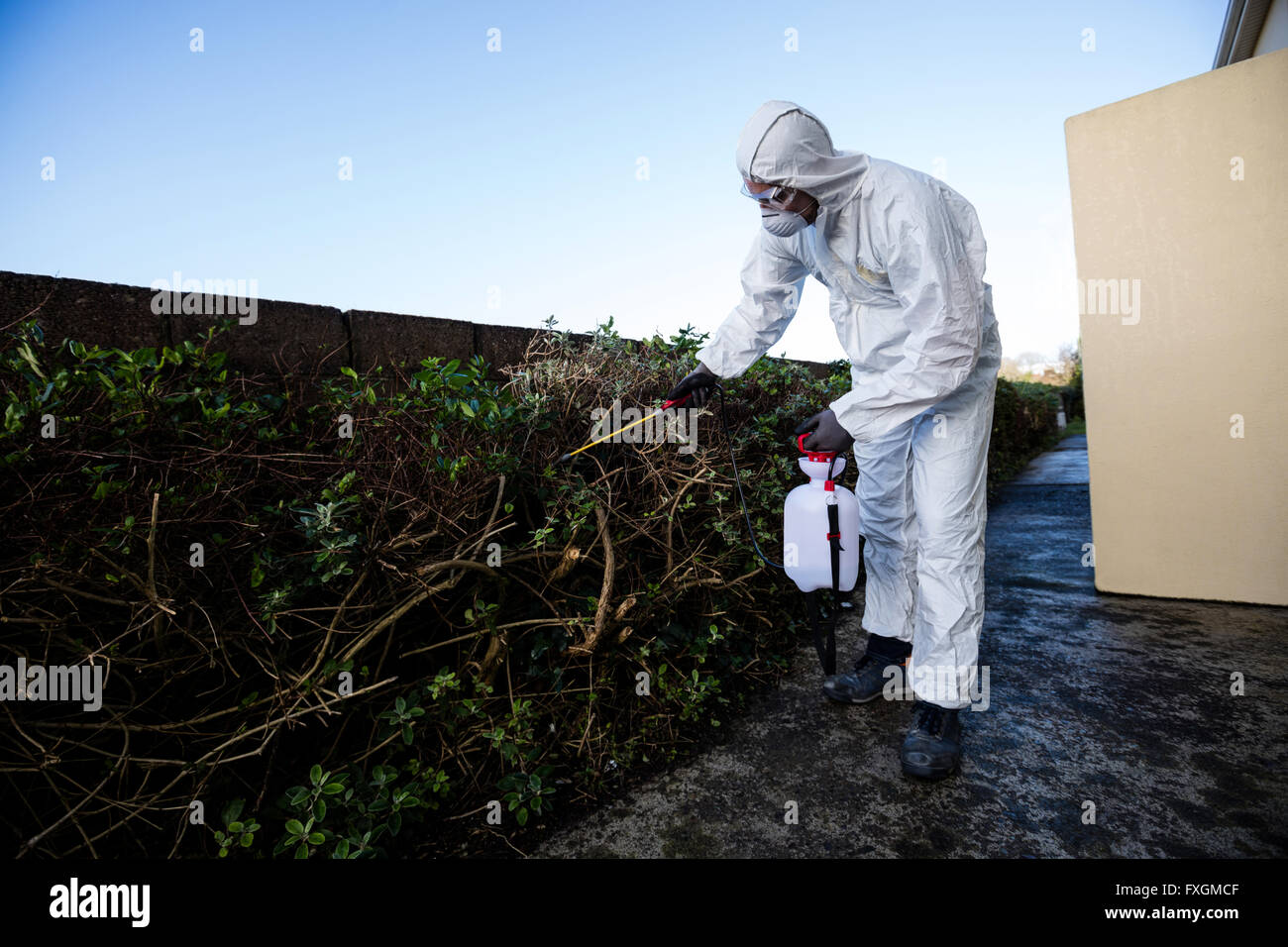 Pest control man spraying pesticide Stock Photo - Alamy