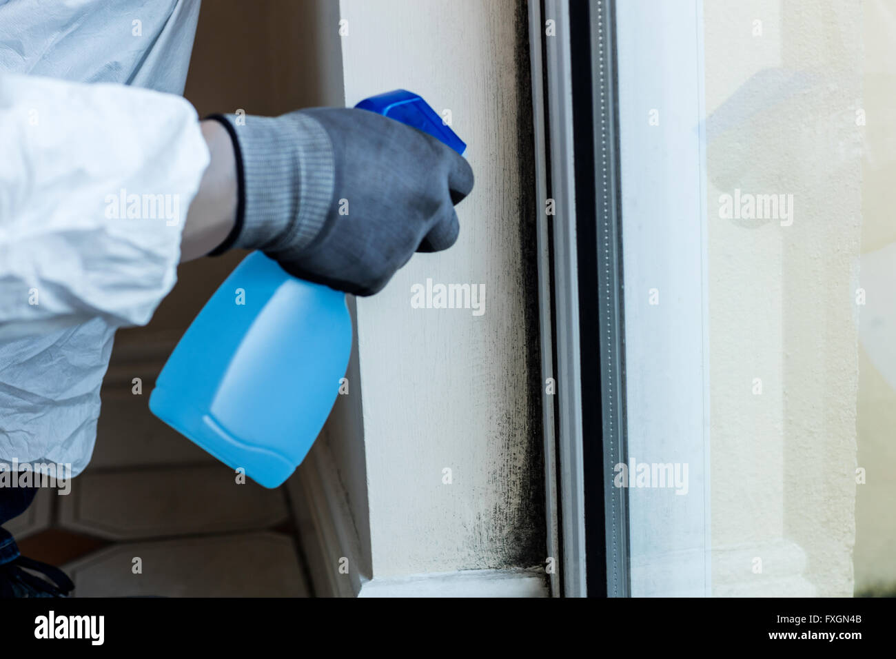 Pest control man spraying pesticide Stock Photo - Alamy