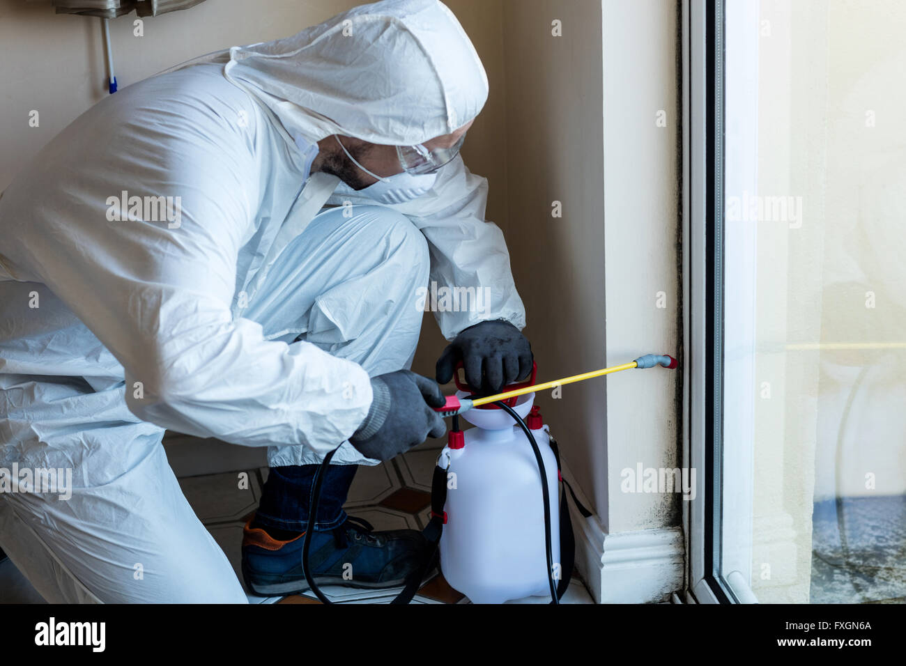 Pest control man spraying pesticide Stock Photo - Alamy
