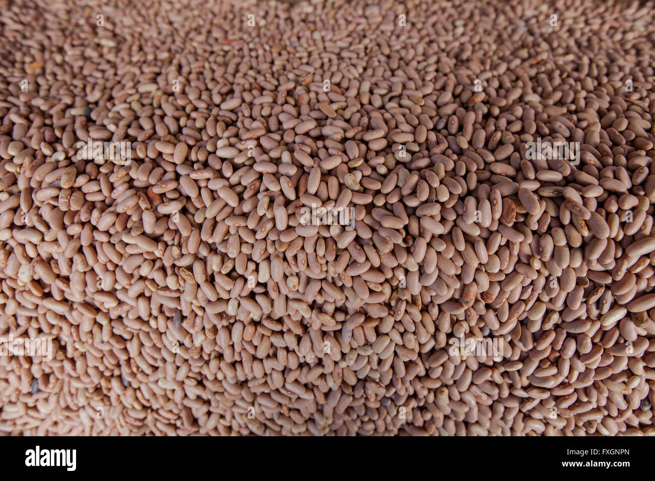 Mozambique, food products at the market, dried beans Stock Photo - Alamy