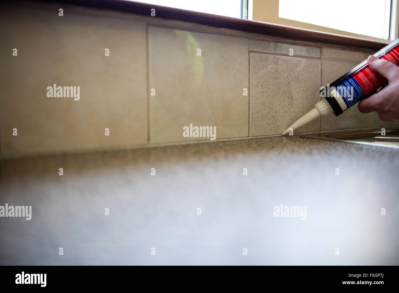 Mans hand using pest control injection Stock Photo - Alamy