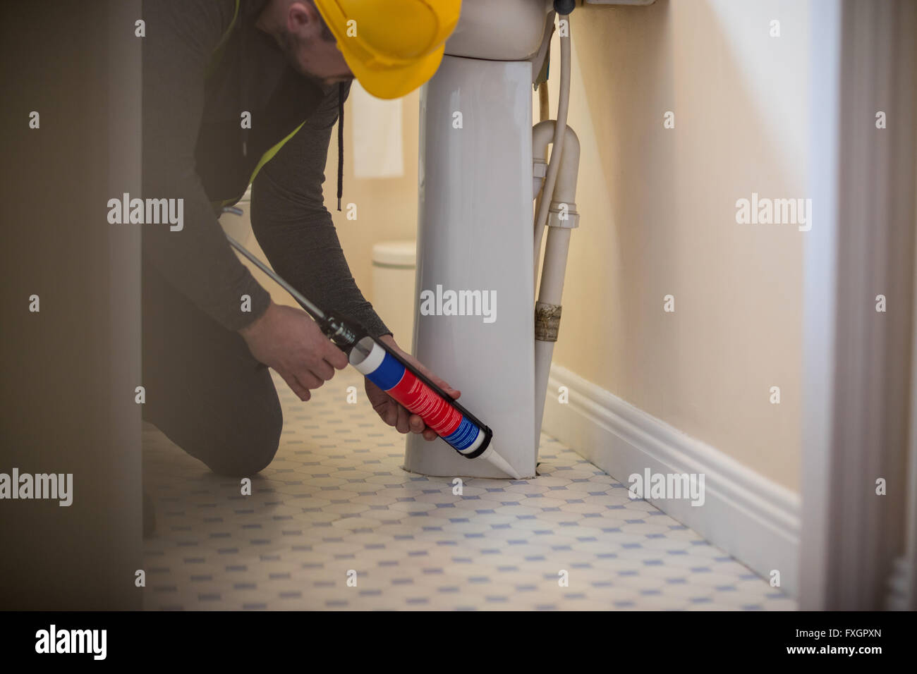 Pest control man using pest control injection Stock Photo - Alamy
