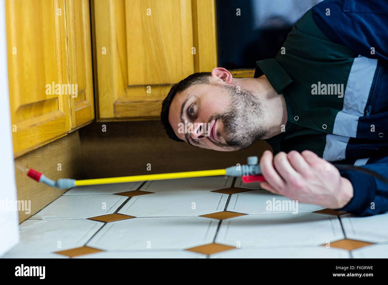 Man spray insects hi-res stock photography and images - Alamy