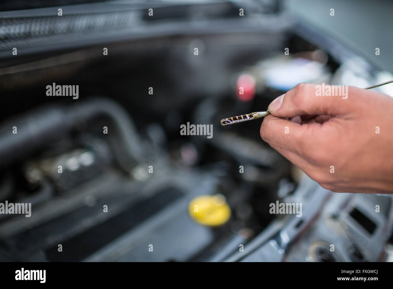 Mechanic checking the oil level in a car engine Stock Photo - Alamy
