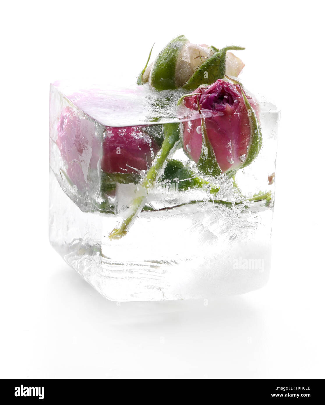 Frozen detail Cut Out Stock Images & Pictures - Alamy