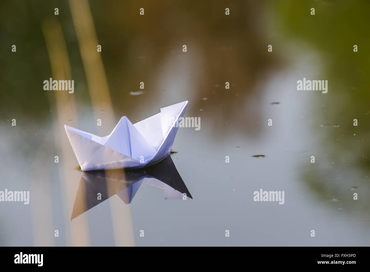 paper boat sailing on water surface at sunset Stock Photo - Alamy