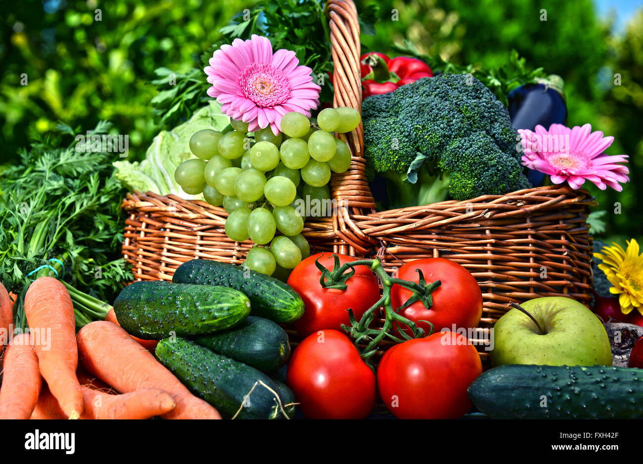 Variety of fresh organic vegetables and fruits in the garden. Balanced ...