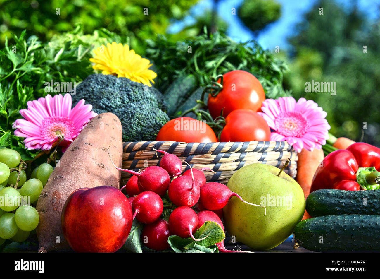 Variety of fresh organic vegetables and fruits in the garden. Balanced ...