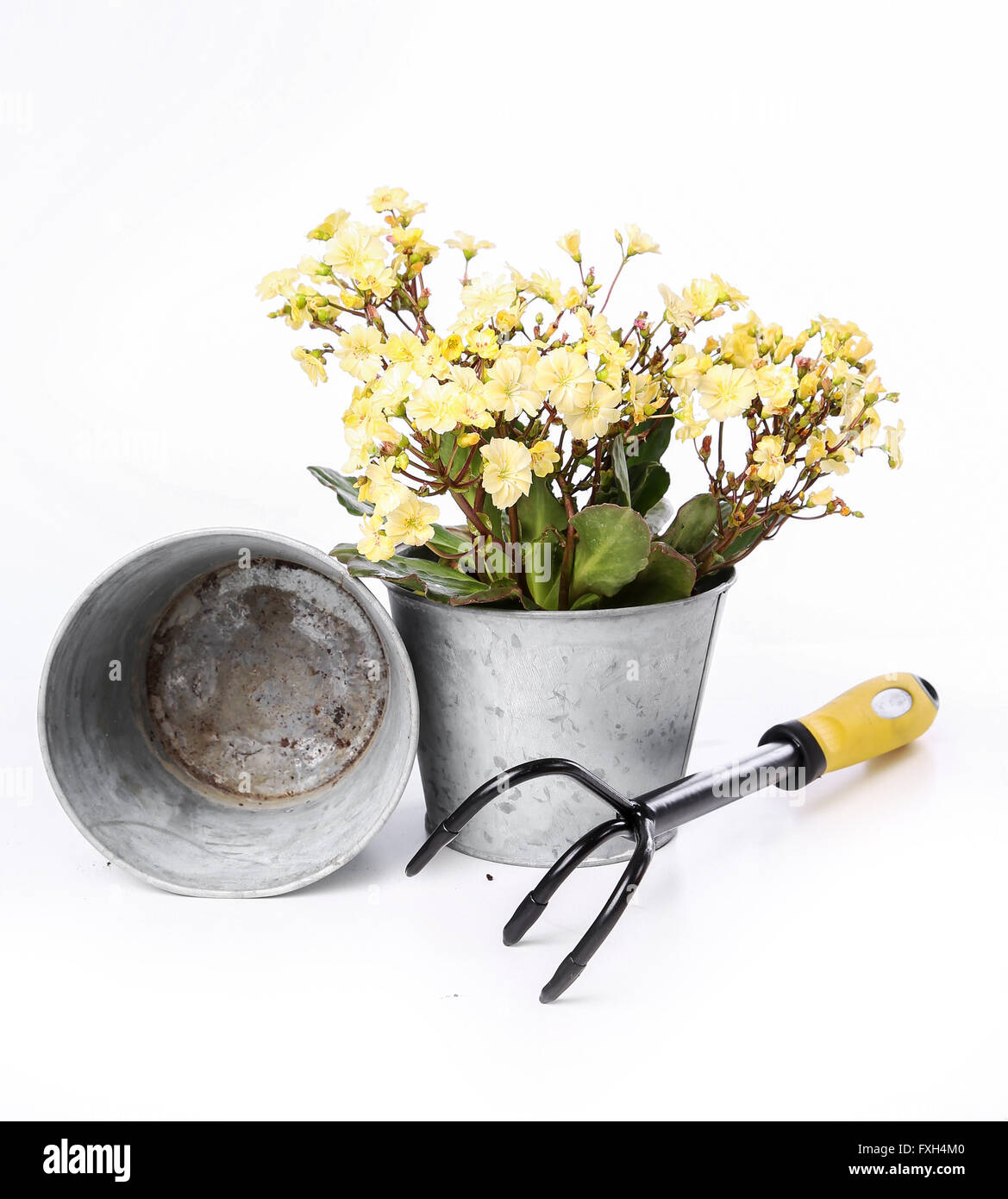 Gardening for earth day Cut Out Stock Images & Pictures - Alamy