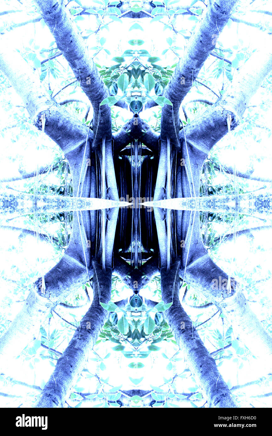 Kaleidoscope-view of a tree with an ice-cold blue hue Stock Photo - Alamy