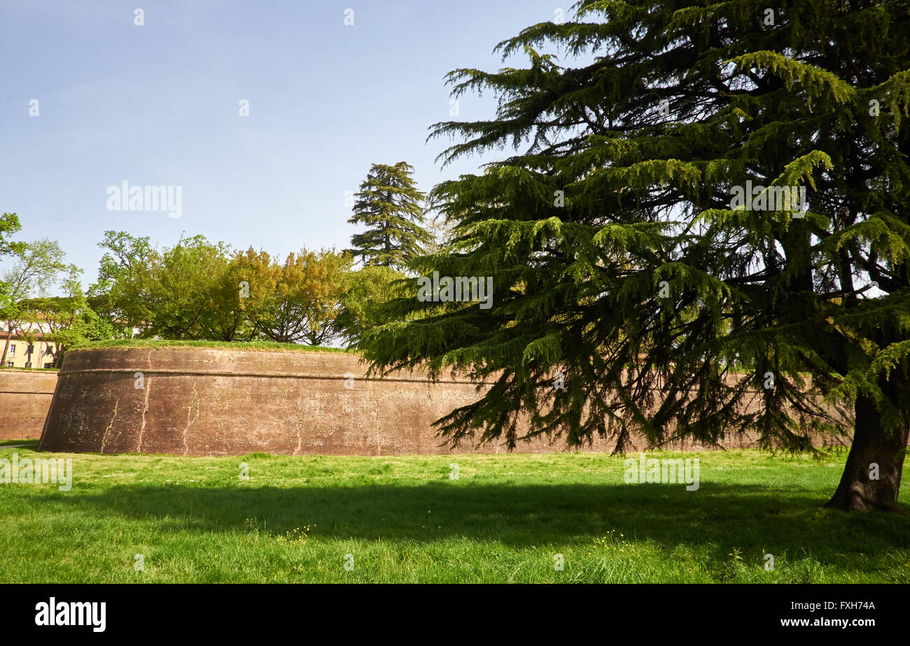Ancient, medieval city walls of Lucca in Tuscany, Italy Stock Photo - Alamy