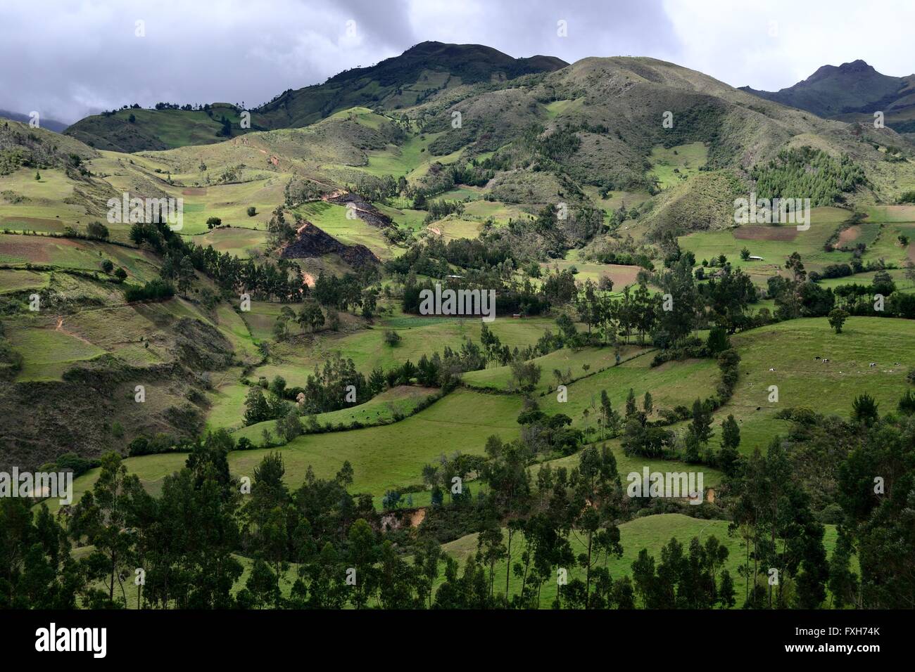 Landscape in Sapalache " Las Huaringas " - HUANCABAMBA.. Department of ...