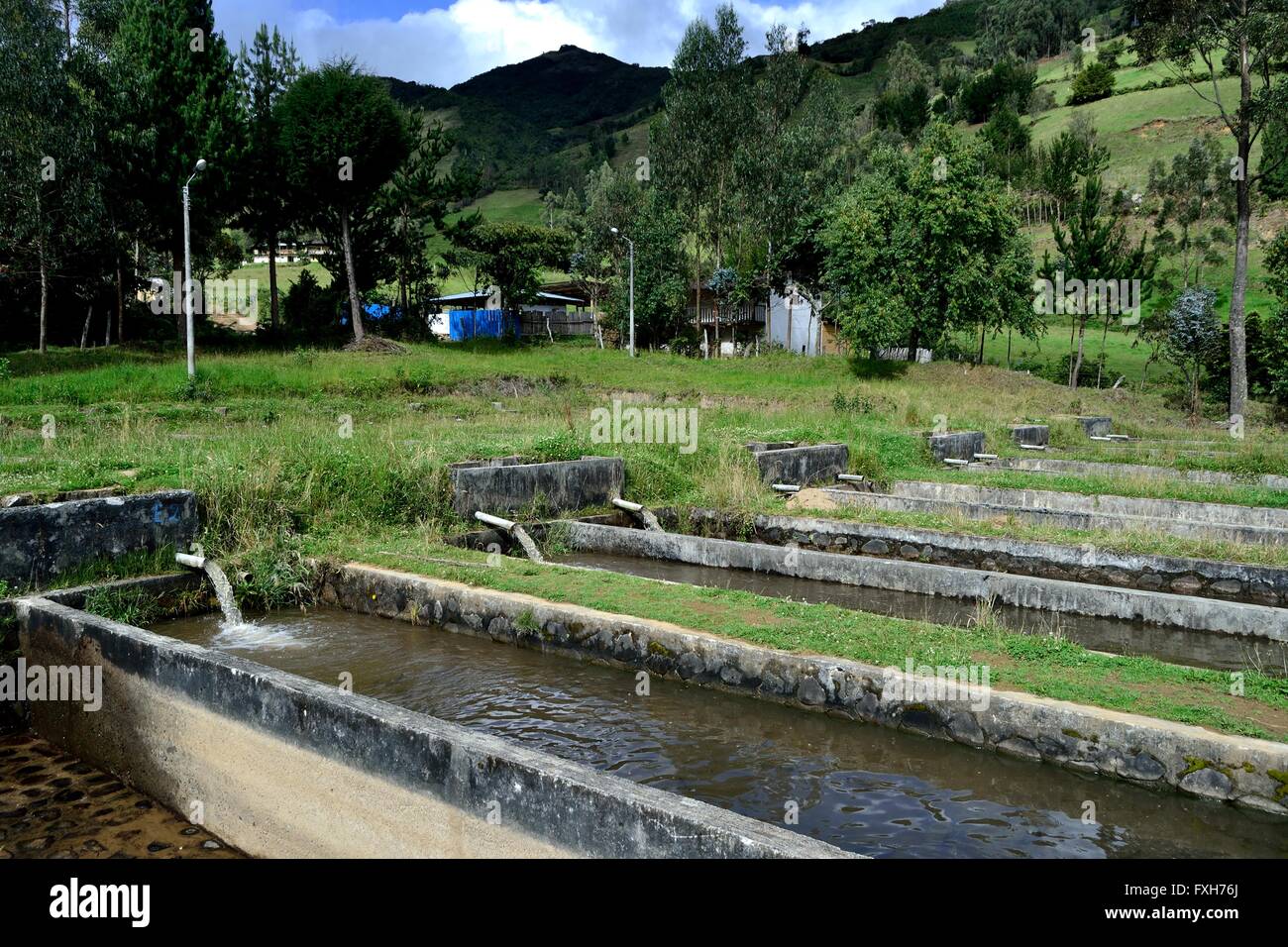 Trout farm in Pulun " Las Huaringas " - HUANCABAMBA.. Department of ...