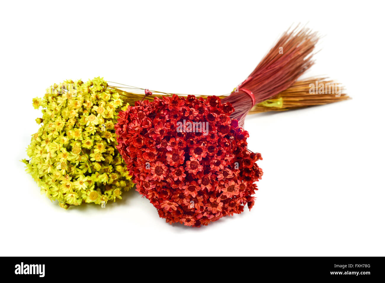 two bouquets of small red and yellow wildflowers on a white background ...