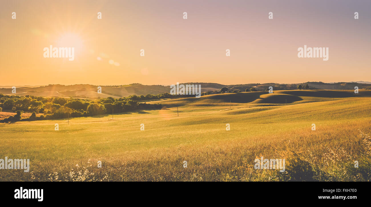 Summer evening landscape. Tuscan scenery at sundown Stock Photo - Alamy