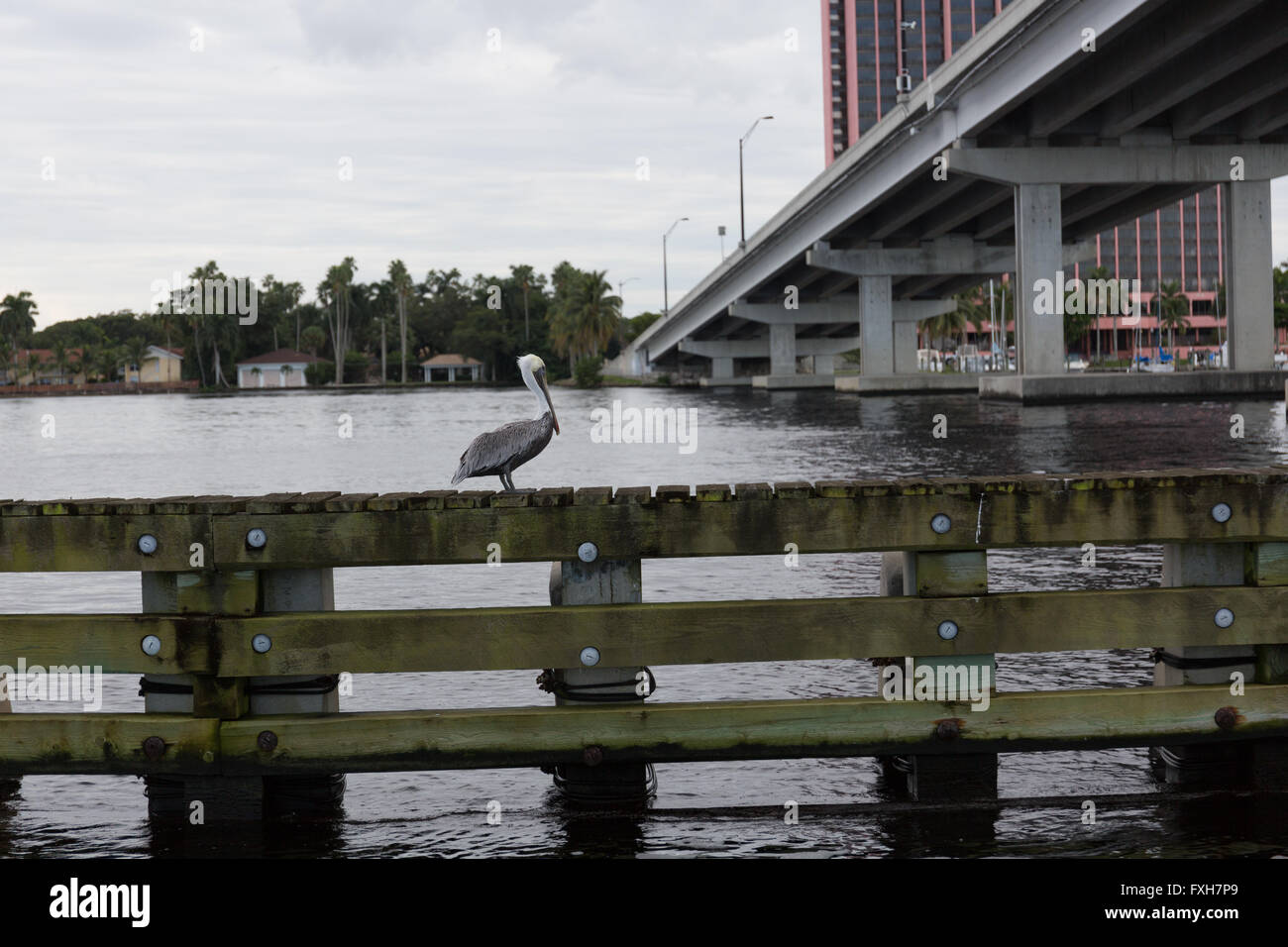 The Edison bridge, Caloosahatchee River Stock Photo - Alamy