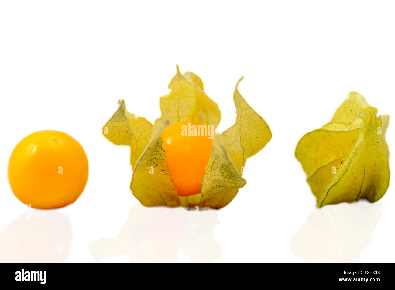 Goldenberry stages hi-res stock photography and images - Alamy