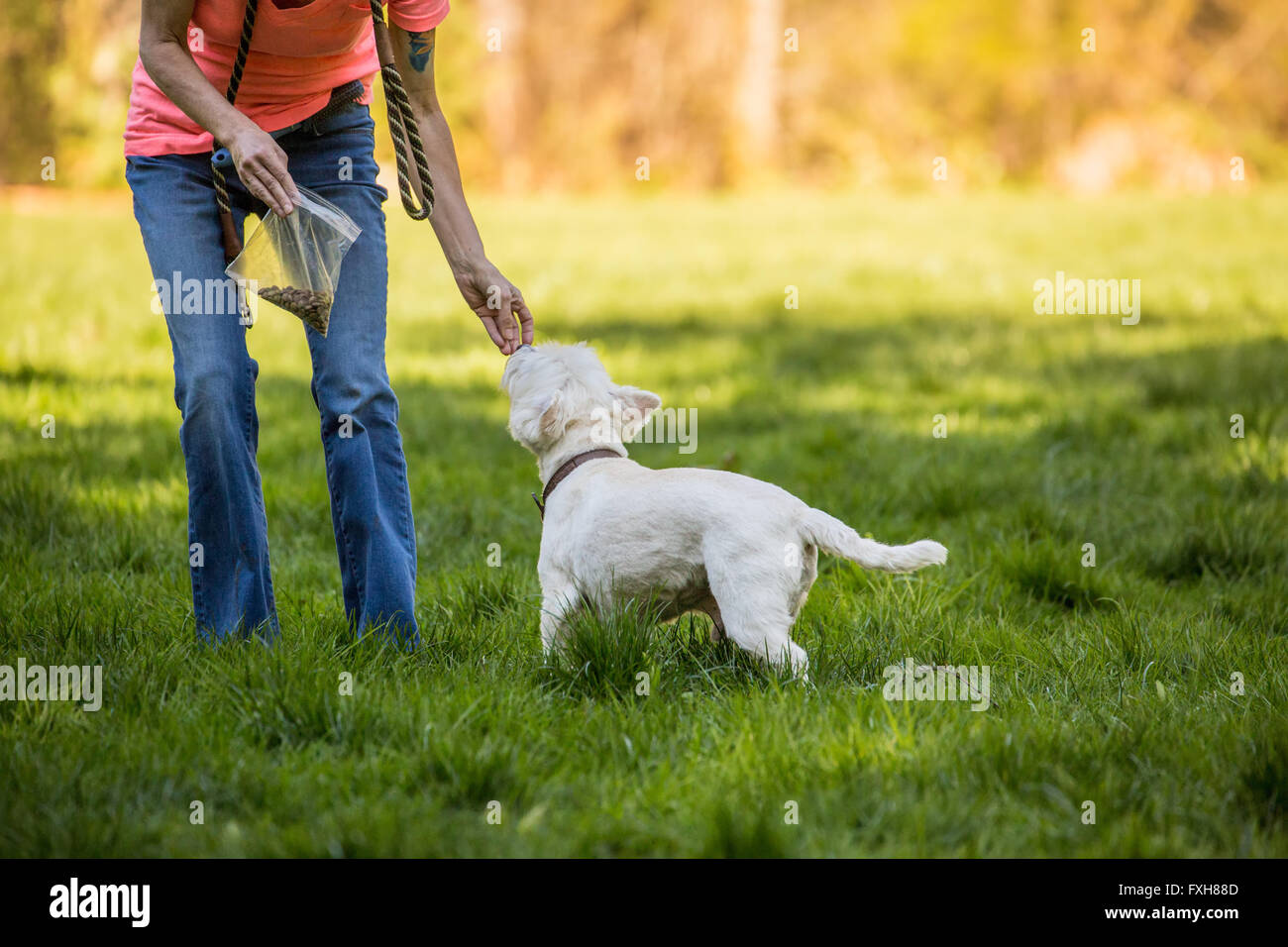 Behavior reinforcement hi-res stock photography and images - Alamy