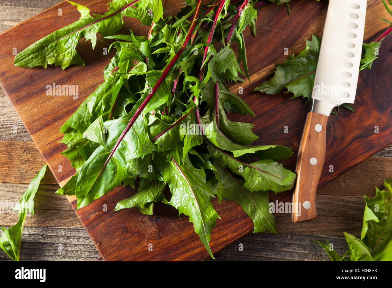 Raw Organic Red Dandelion Greens Ready to Chop Stock Photo - Alamy