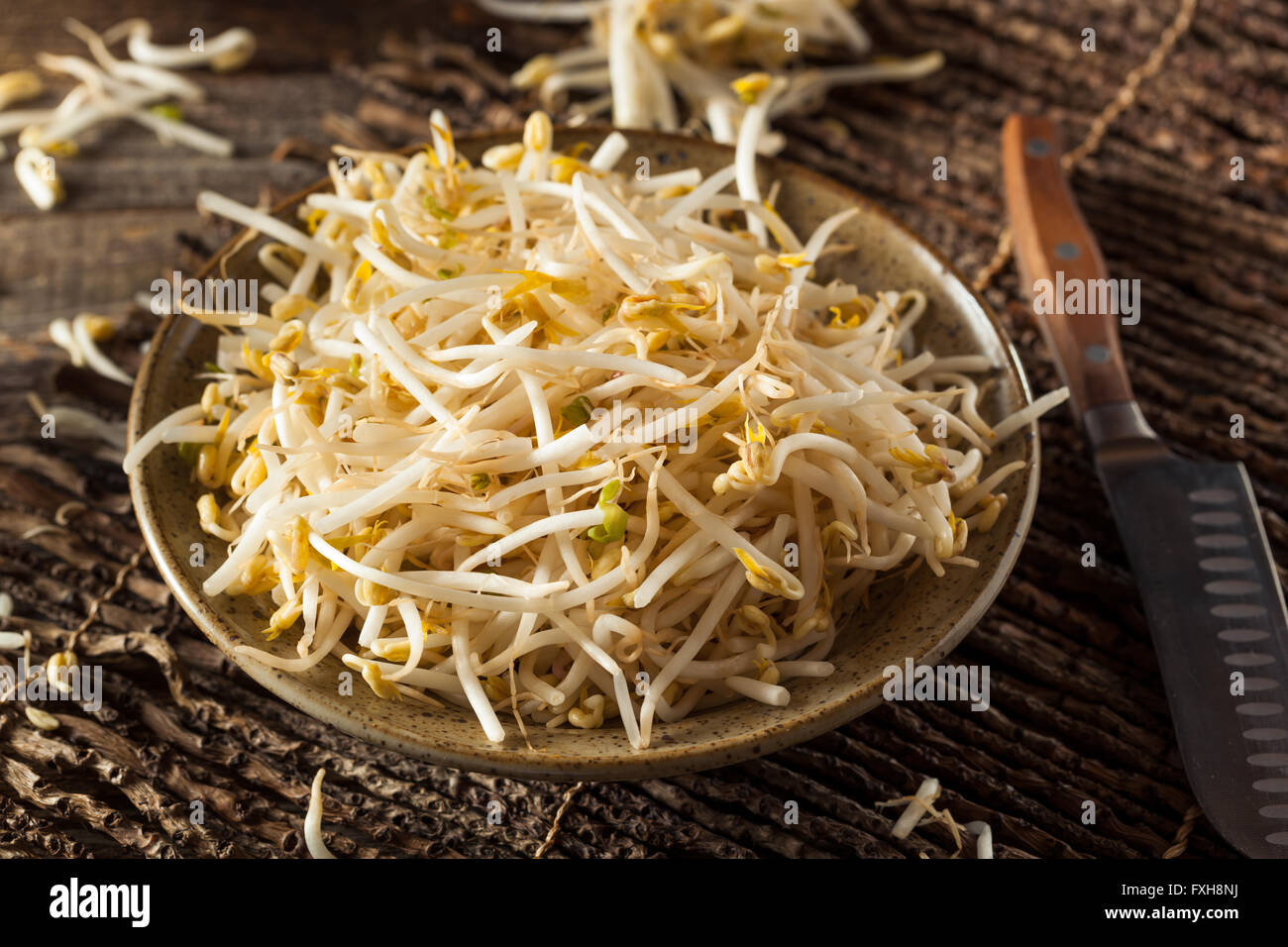 Soy Bean Shoots Stock Photos & Soy Bean Shoots Stock Images - Alamy