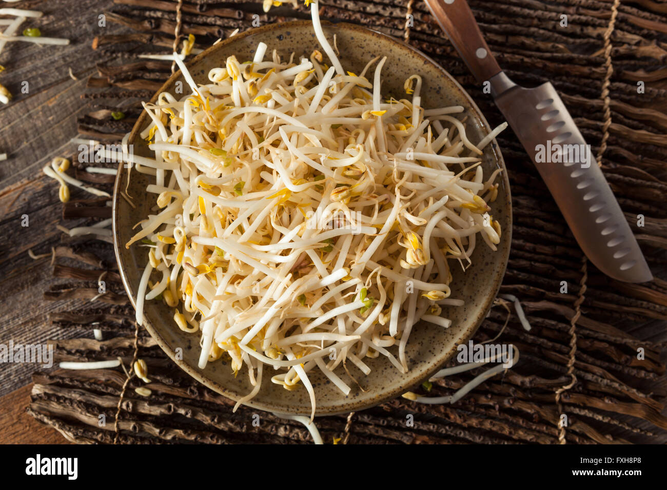 Raw Healthy White Bean Sprouts Ready for Cooking Stock Photo - Alamy