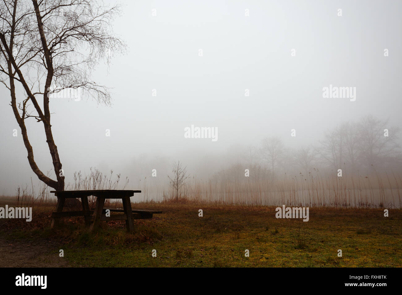 moody landscape in autumn winter Stock Photo - Alamy