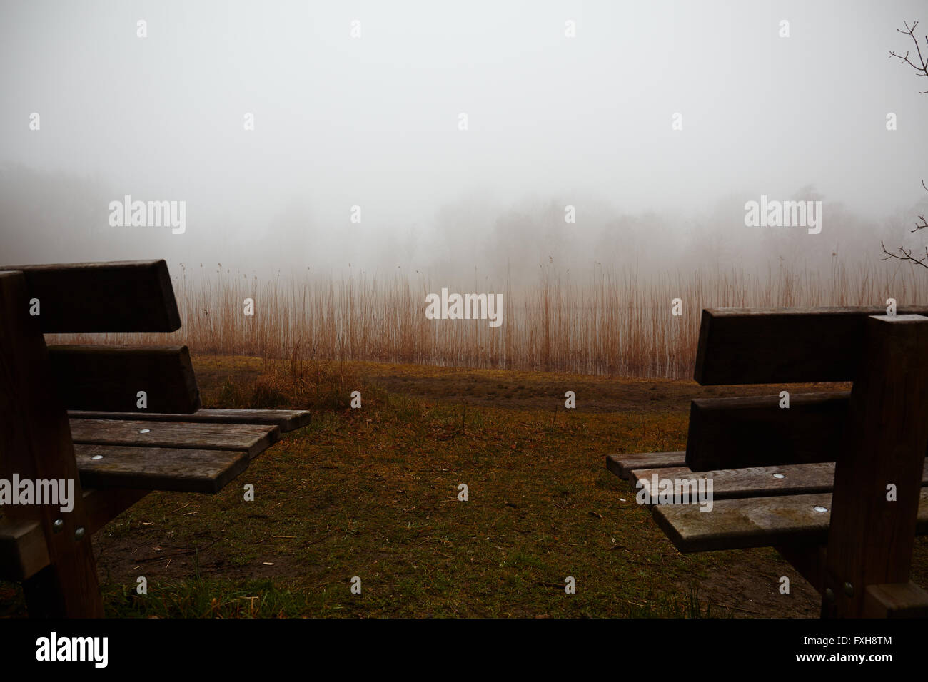 Moody landscape hi-res stock photography and images - Alamy