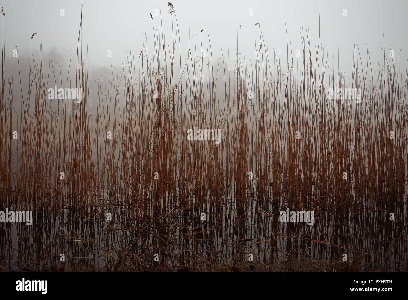 Moody landscape hi-res stock photography and images - Alamy