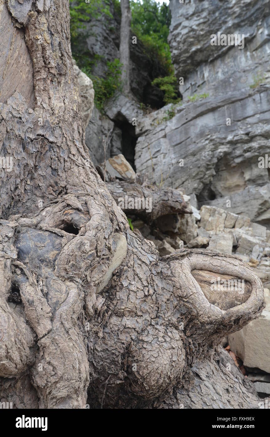 Cave-in-Rock State Park, Cave-in-Rock Illinois, USA Stock Photo - Alamy