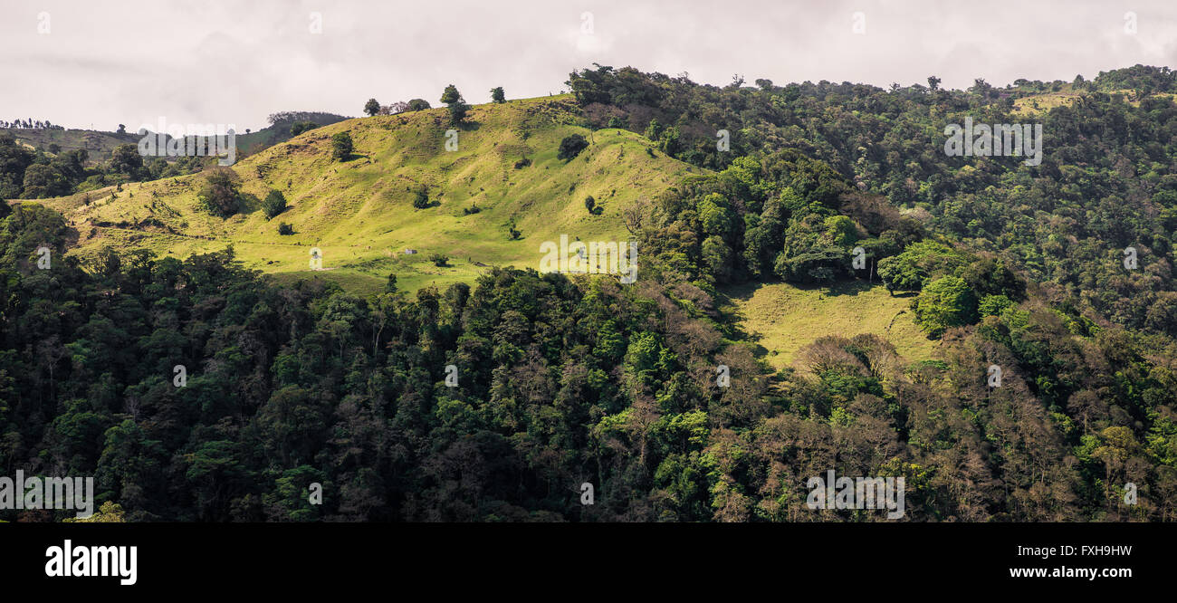 Deforested area in a mountain Stock Photo - Alamy