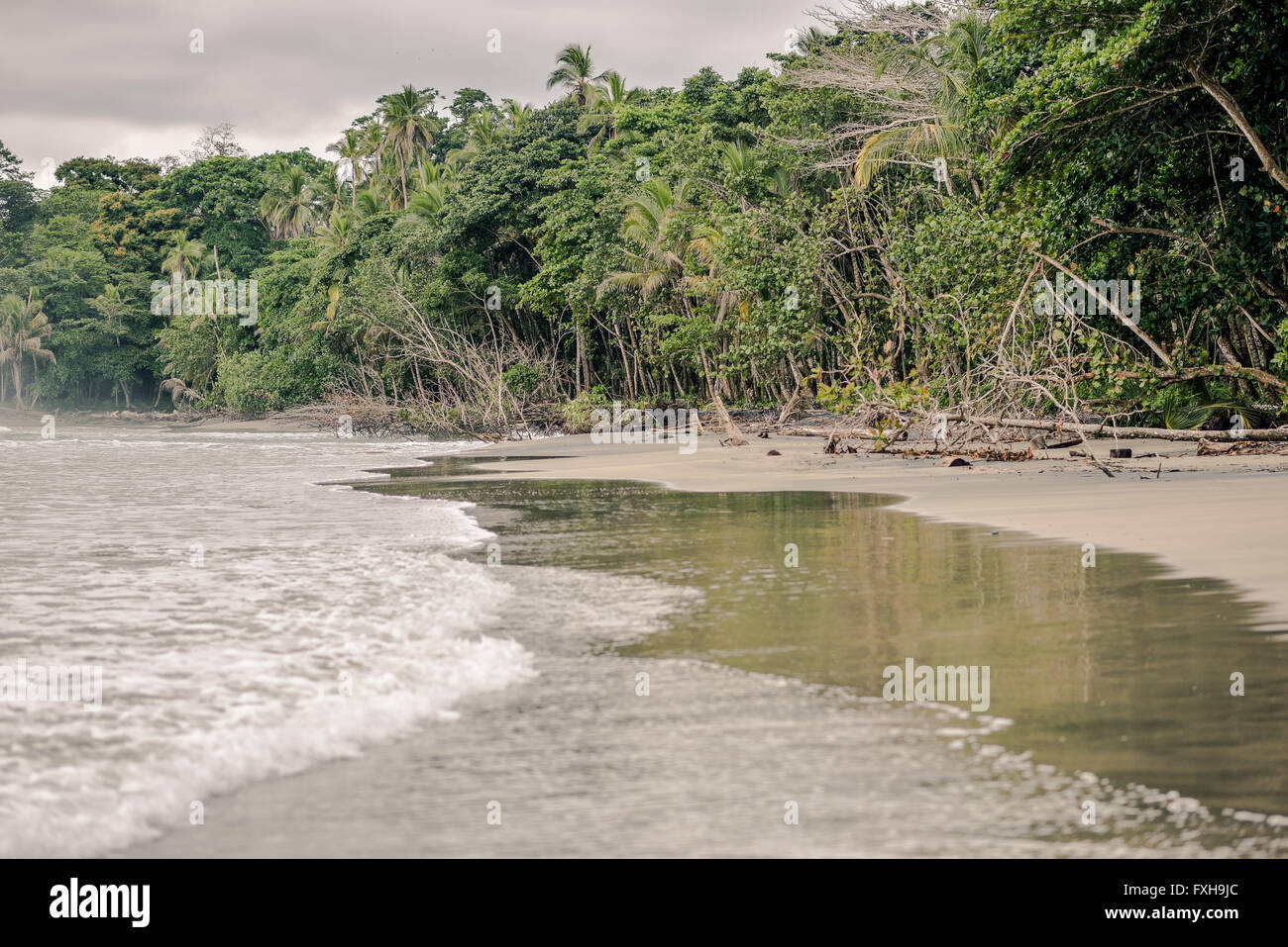 View of Manzanillo Beach in the Caribbean coast of Costa Rica Stock ...
