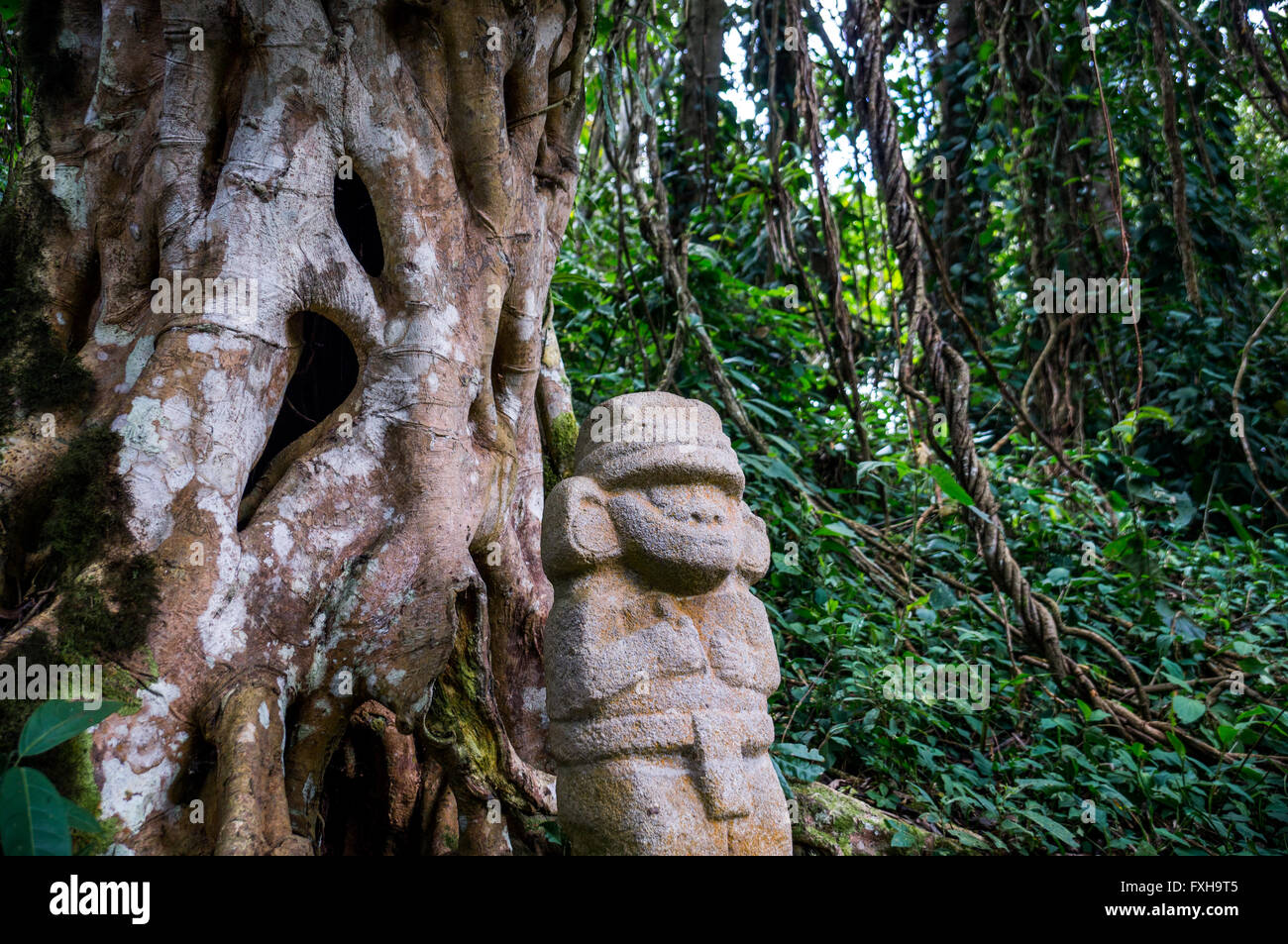 A mysterious statue of a male person stands in the rainforest next to ...