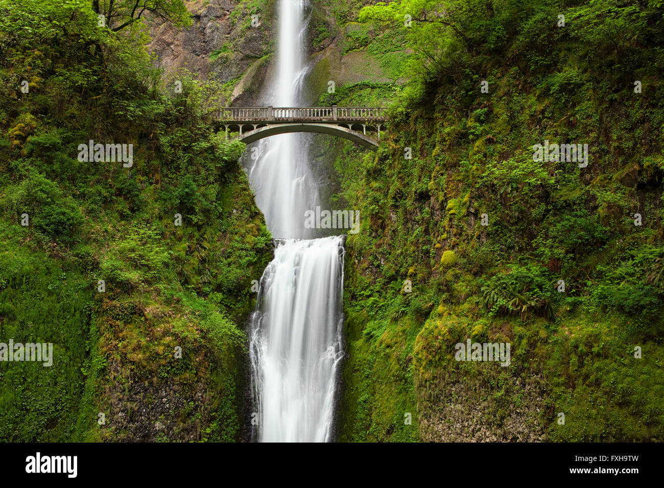 Multnomah falls summer hi-res stock photography and images - Alamy