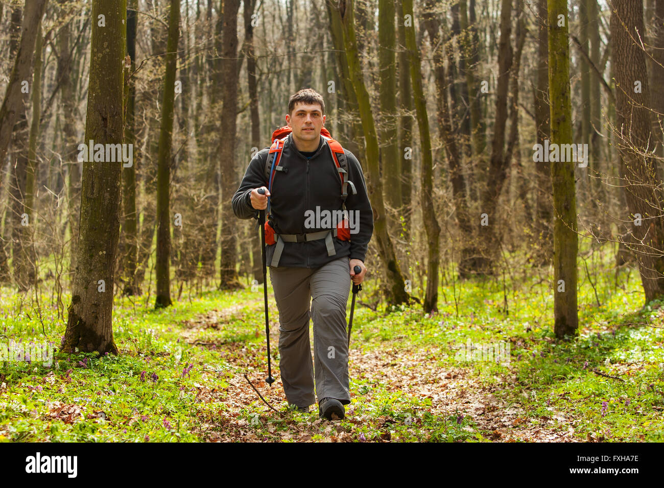 Male hiker looking to the side walking in forest Stock Photo - Alamy