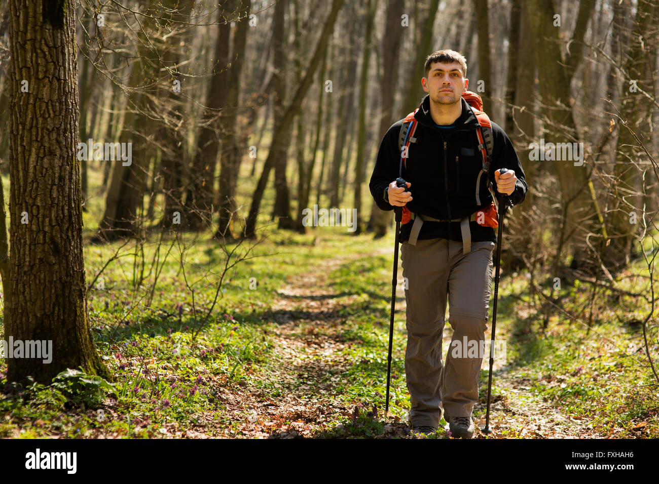 Active healthy man hiking in beautiful forest Stock Photo - Alamy