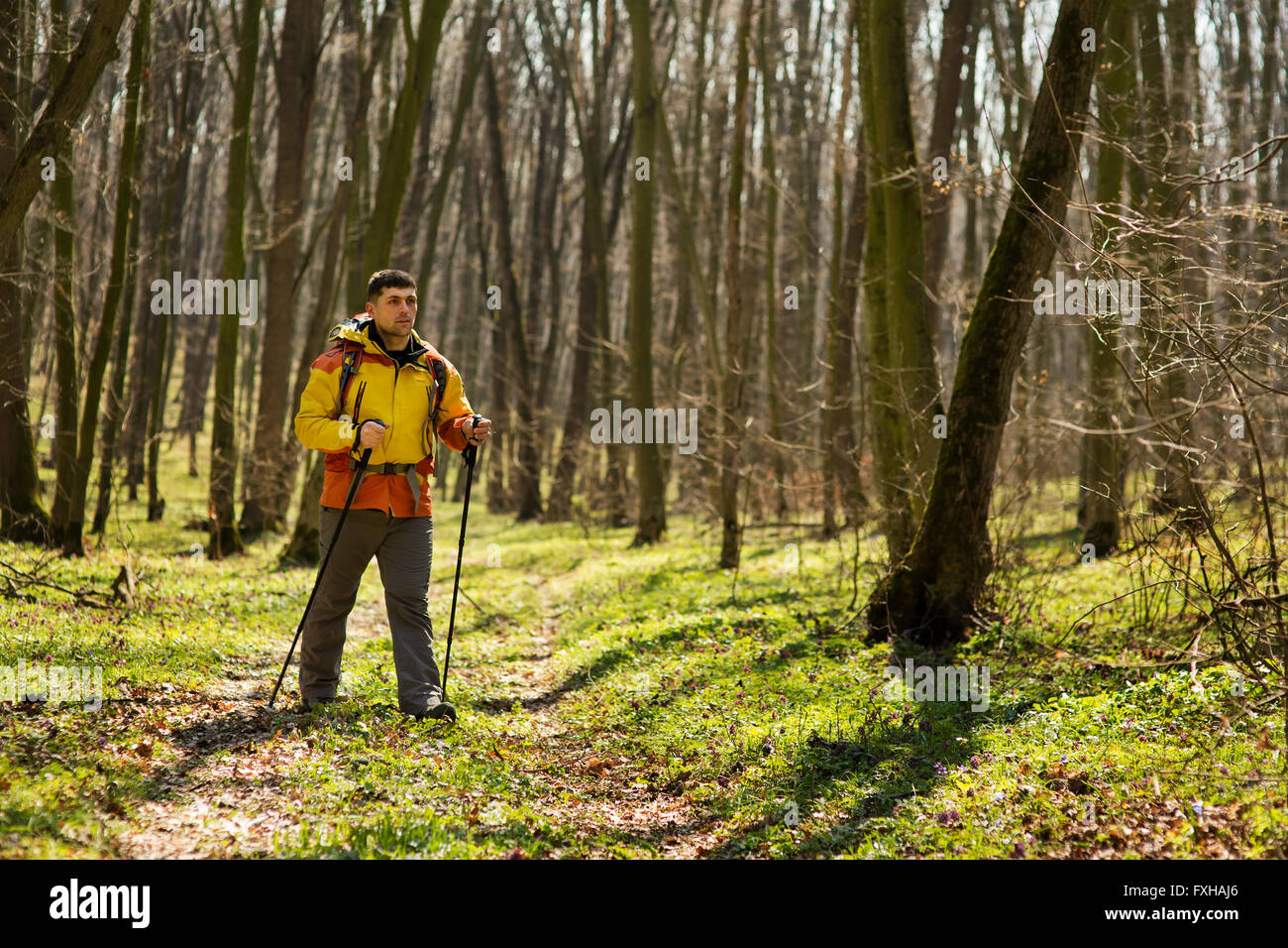 Active healthy man hiking in beautiful forest Stock Photo - Alamy