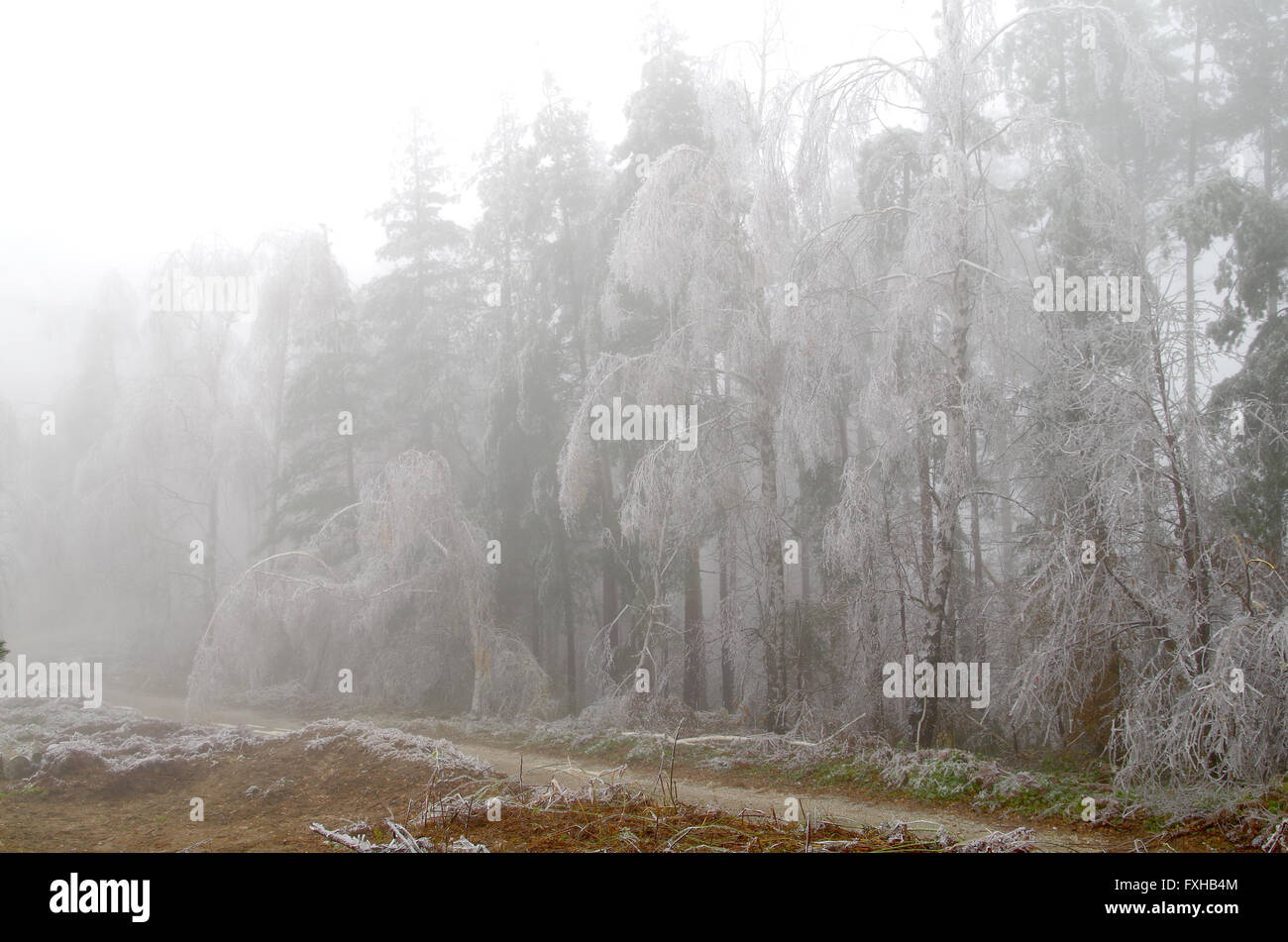 Road hazard hi-res stock photography and images - Alamy